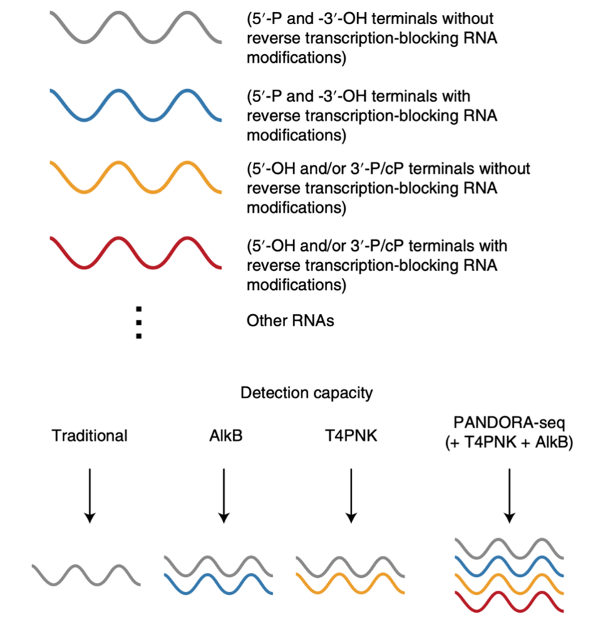 上海逆耳生物科技有限公司
